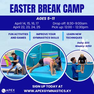 Apex Gymnastics – Training today's gymnasts into tomorrow's champions